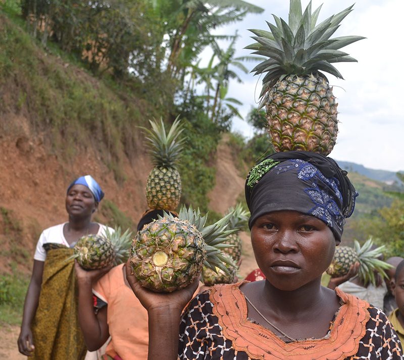 Impact | ADRA Rwanda